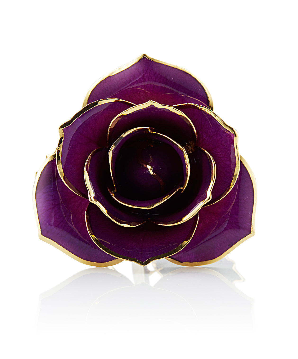Classic Everlasting Rose - Liquid Luxury 24K Gold Plated Roses